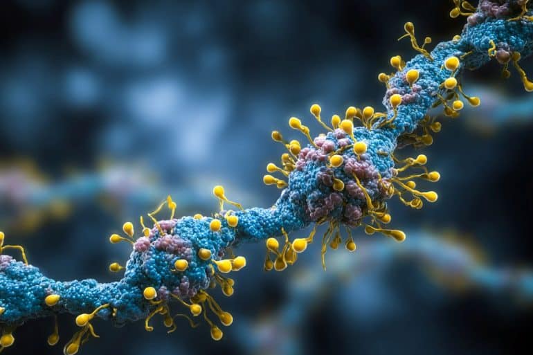 HIV Protein gp120 Directly Amplifies Spinal Pain Receptors ...