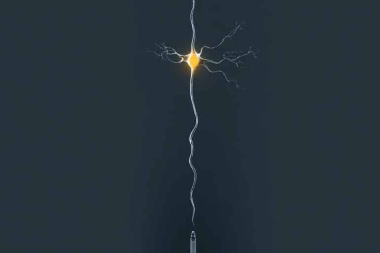 Neuropixels Opto Probe Rewrites Brain Data - Neuroscience News